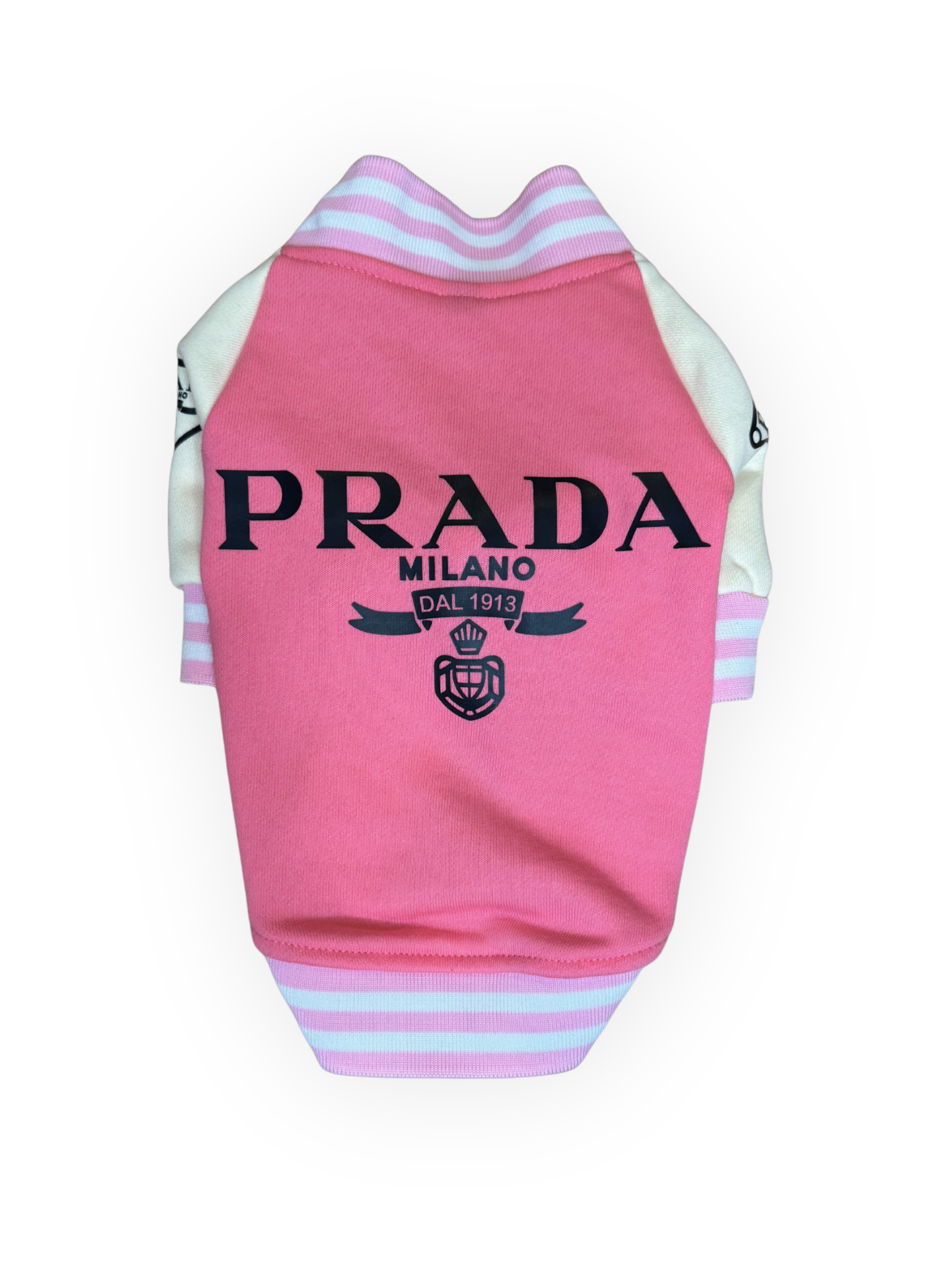 Pawda Varsity Jacket – Luxury Lightweight Dog Jacket – The Pawster